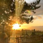 Heart of Willamette Winery Pass : Wine Tastings and Discounts - Why This Tour is Worth Considering