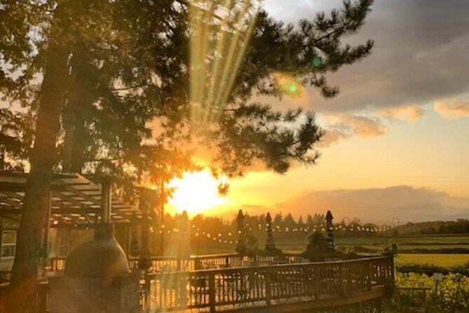 Heart of Willamette Winery Pass : Wine Tastings and Discounts - Why This Tour is Worth Considering