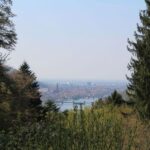 Heidelberg Highlights Segway Tour with Castle - What Makes the Experience Stand Out?