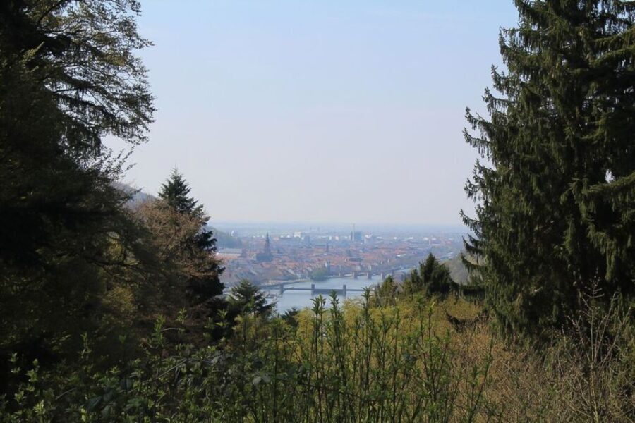 Heidelberg Highlights Segway Tour with Castle - What Makes the Experience Stand Out?