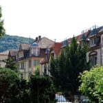 Heidelberg Old Town Private Walking Tour including Castle Visit - The Guide Experience & Reviews