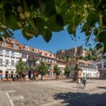 Heidelberg: Walking Tour of the Old Town - What’s Not Included