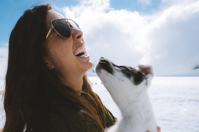 Helicopter Glacier & Dog Sledding Adventure Tour - Deep Dive into What You Can Expect