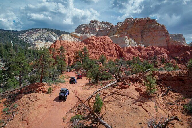 Hell's Hole Extreme UTV Red Rock Adventure - Who Will Love This Tour?
