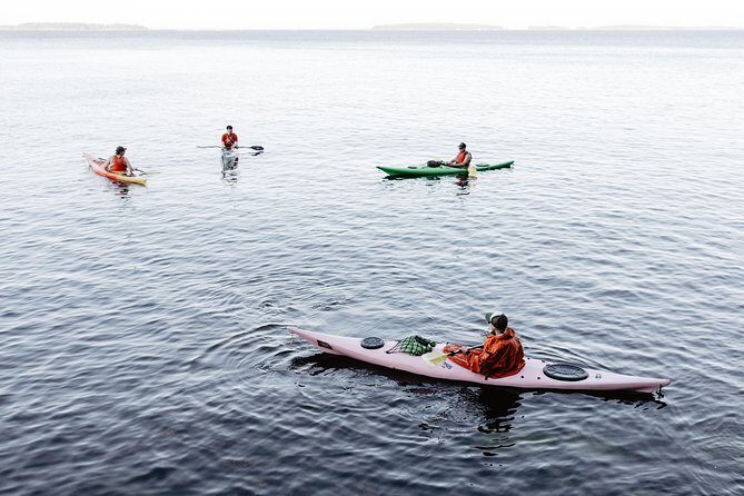 Helsinki by Kayak - Authentic Feedback from Past Participants