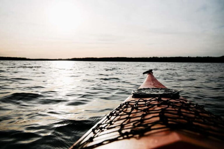 Helsinki: Kayaking Tour - What Makes This Tour Special?