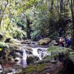 Hidden Corners: Levada Walk from Funchal - Detailed Itinerary Breakdown