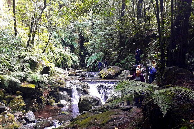 Hidden Corners: Levada Walk from Funchal - Detailed Itinerary Breakdown