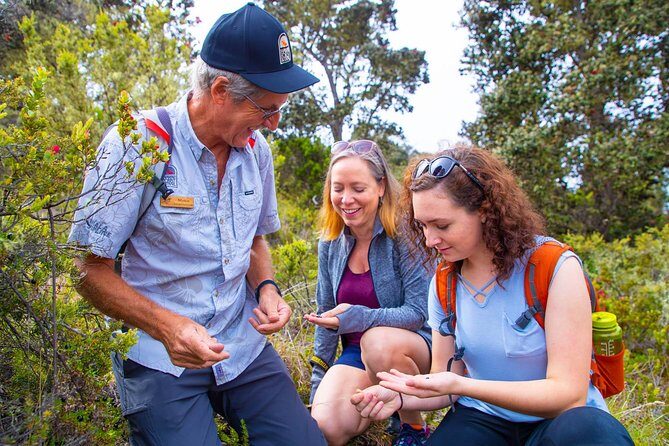 Hidden Craters Hike of Kona - An In-Depth Look at the Hidden Craters Hike Experience