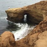 Hidden Nature Walks in the City Private Tour - What’s Noteworthy About the Guide