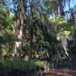 Highlights of New Orleans City and Swamp Tour Combination - Final Thoughts