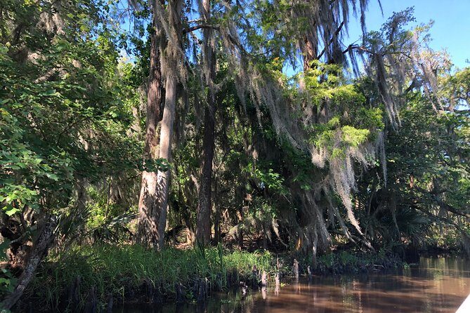 Highlights of New Orleans City and Swamp Tour Combination - Final Thoughts