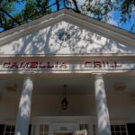 Highlights of the New Orleans Carrollton Neighborhood - What You Can Expect from the Experience