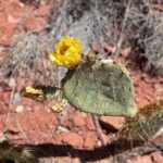 Hike and Heal Couples Relationship in Sedona Healing Red Rocks - Concluding Thoughts