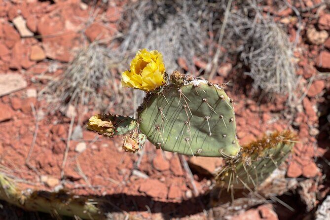 Hike and Heal Couples Relationship in Sedona Healing Red Rocks - Concluding Thoughts