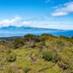 Hike Honolua Ridgeline - The Details of the Honolua Ridgeline Experience
