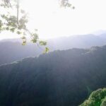 Hike in Laurisilva Levada do Rei - Madre of Life small Group guided walk - What Sets This Tour Apart