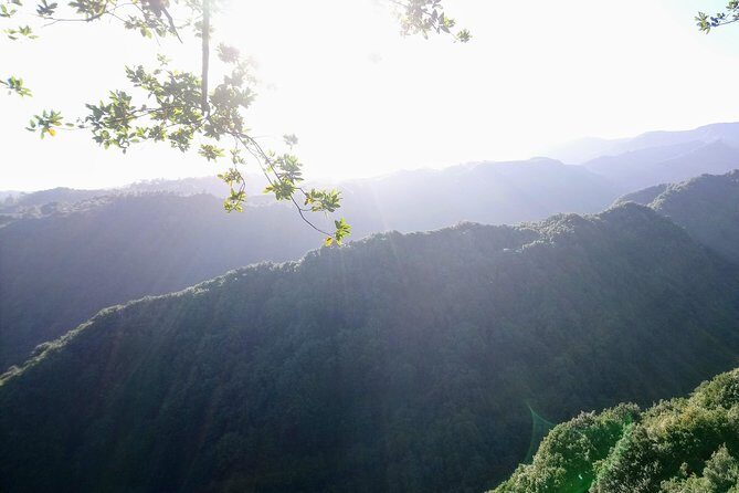 Hike in Laurisilva Levada do Rei - Madre of Life small Group guided walk - What Sets This Tour Apart