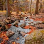 Hike in Polish Mountains: Day trip to Rudawy Janowickie - Exploring the Rudawy Janowickie: A Practical and Scenic Day Out