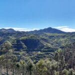 Hiking experience in the north of Gran Canaria - Who Should Consider This Tour?