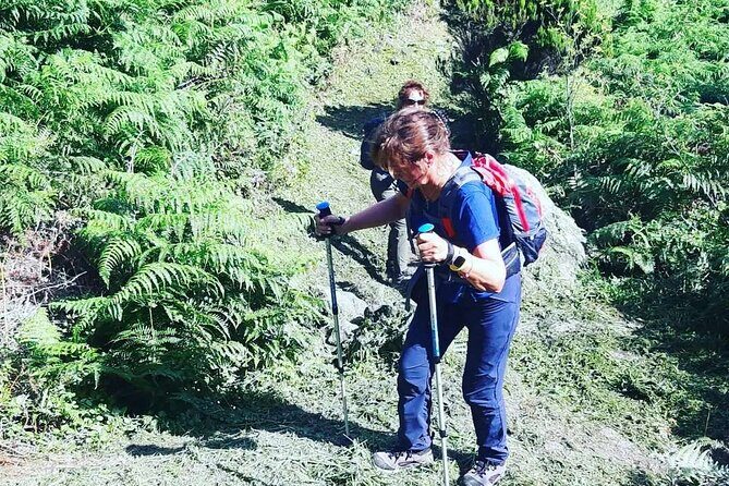 Hiking Trail Baías da Agualva | Terceira Island - Who Will Love This Experience?