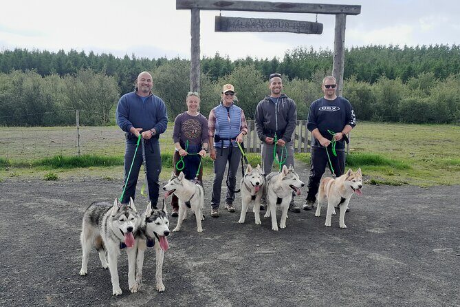 Hiking with Husky in Akureyri - The Itinerary: What to Expect Step-by-Step