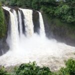 Hilo Highlights: Waterfall & Local Secrets on a Short Excursion - Key Points