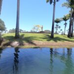 Hilo: Wailoa River to King Kamehameha Guided Kayaking Tour - Practical Details and Value