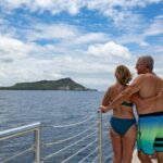 Hilton Hawaiian Village Turtle Snorkel with Optional Lunch - The Itinerary Breakdown