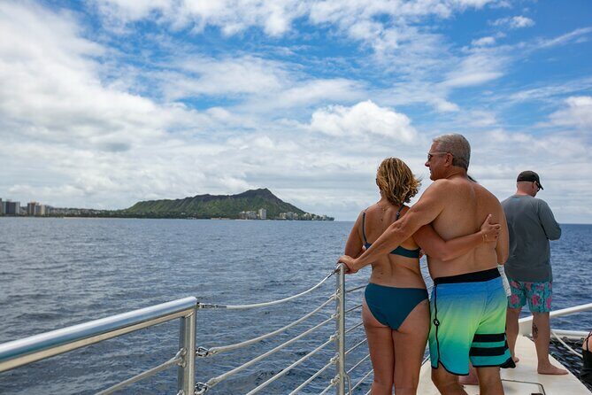 Hilton Hawaiian Village Turtle Snorkel with Optional Lunch - The Itinerary Breakdown