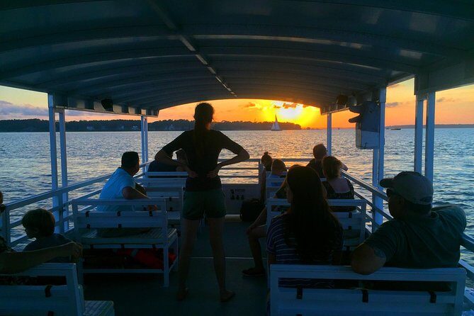 Hilton Head Dolphin Watching Cruise with Fireworks Display - Authentic Feedback Based on Reviews