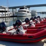 Hilton Head Guided Dolphin Watching & Sightseeing Tour via Mini Boat - What to Expect on the Itinerary
