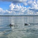 Hilton Head Island: 2-Hour Guided Creek Cat Tour - Why the Experience Works