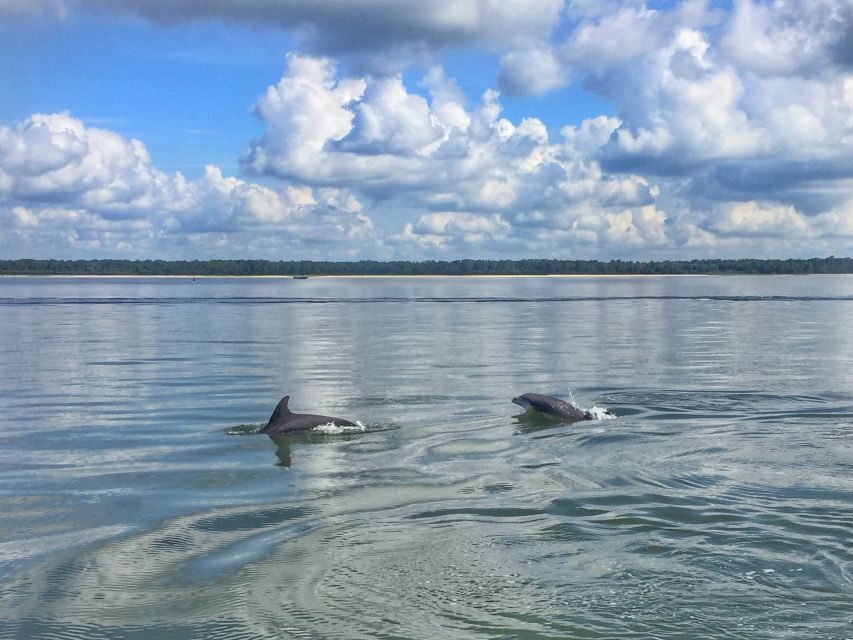 Hilton Head Island: 2-Hour Guided Creek Cat Tour - Why the Experience Works