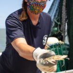 Hilton Head Island: Crabbing Expedition Boat Tour - Who Will Love This Tour?