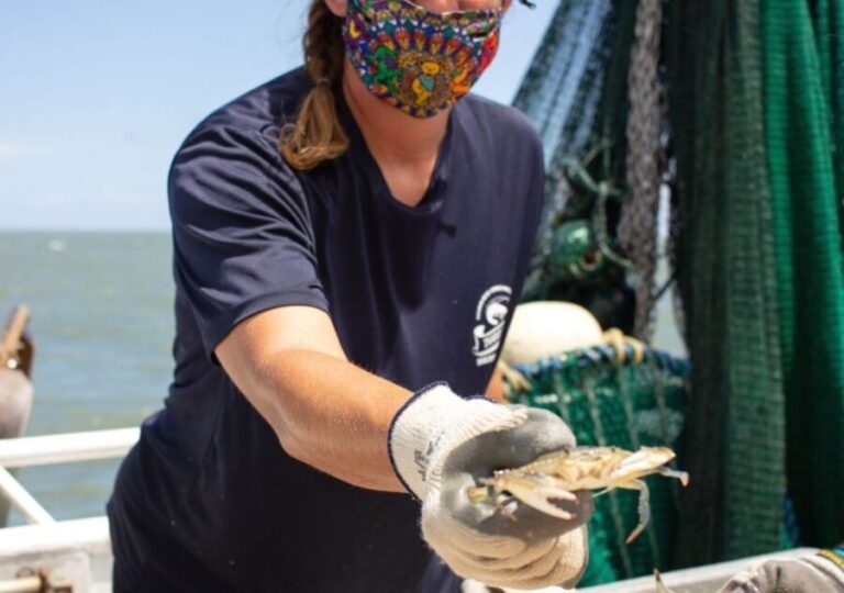 Hilton Head Island: Crabbing Expedition Boat Tour - Who Will Love This Tour?