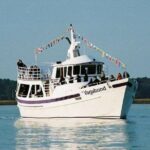 Hilton Head Island Dolphin Watching Nature Cruise - Who Should Consider This Tour?