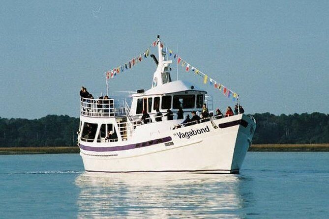Hilton Head Island Dolphin Watching Nature Cruise - Who Should Consider This Tour?