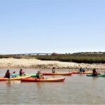 Hilton Head Island: Guided Kayak Tour with Coffee - The Itinerary: What to Expect