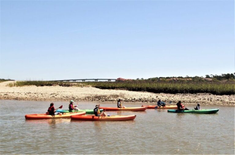 Hilton Head Island: Guided Kayak Tour with Coffee - The Itinerary: What to Expect
