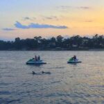 Hilton Head Island Jet Ski Adventure - The Scenic and Wildlife Highlights