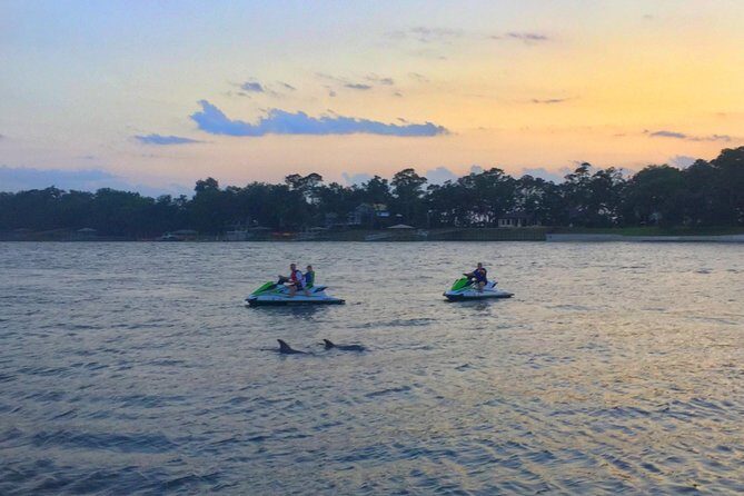 Hilton Head Island Jet Ski Adventure - The Scenic and Wildlife Highlights