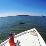 Hilton Head Island: Private Dolphin Watching Boat Tour - The Highlights of the Tour