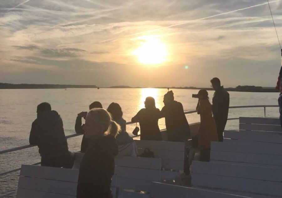 Hilton Head Island: Sunset Dolphin Cruise - Final Thoughts: Is It Worth It?