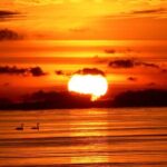 Hilton Head Sunrise Dolphin Tour - In-depth Look at the Experience