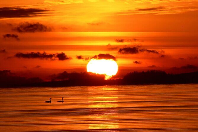 Hilton Head Sunrise Dolphin Tour - In-depth Look at the Experience