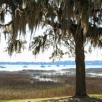 Historic Beaufort Smartphone Guided Walking Tour - The Practicalities