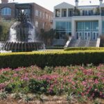 Historic Charleston: 2-hour Private Highlights Walking Tour - The Sum Up