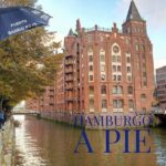 Historic Free Tour of Hamburg Old Warehouse District - The Value of This Tour