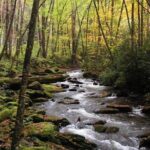 Historic River Town Ramble - Why This Tour Is Worth Considering